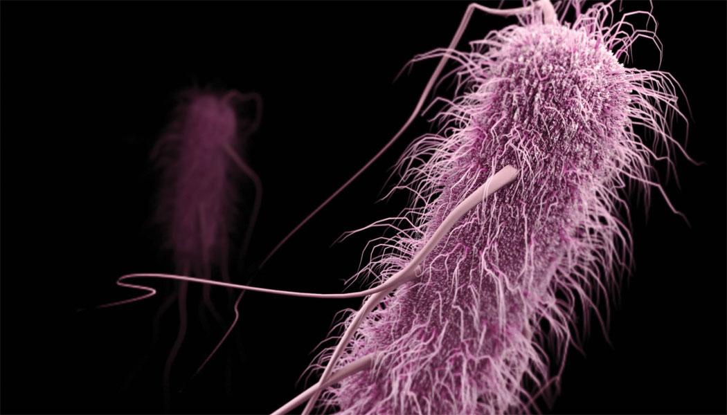 Pain, progress in the prevention process | Healthcare Purchasing News