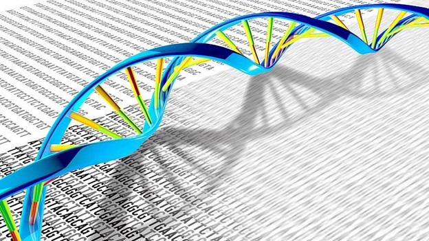 Gene therapy restores immune function in children with rare ...