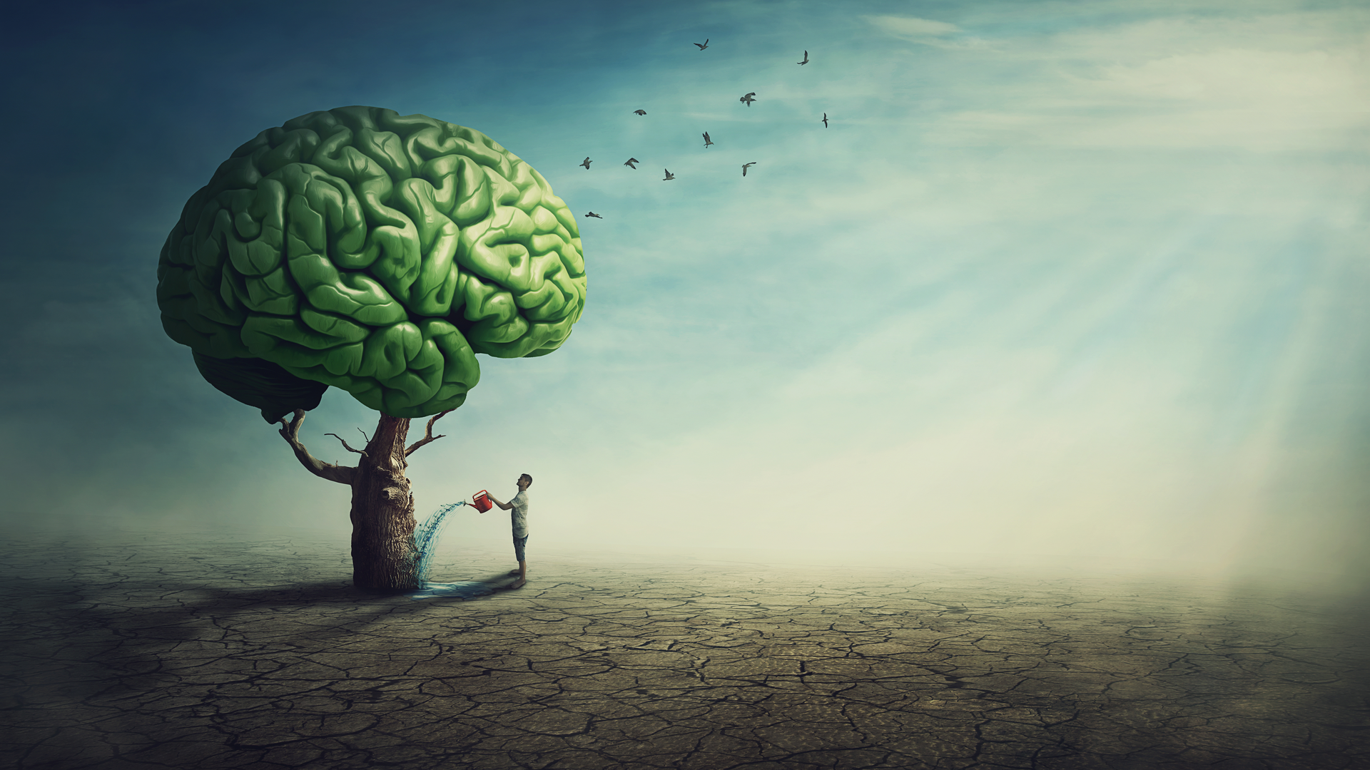 New WHO position paper targets brain health | Healthcare Purchasing News