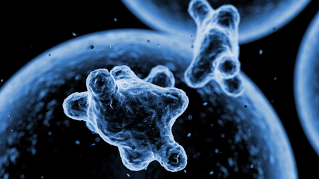 Mutating bacteria a key to antibiotic resistance | Healthcare ...