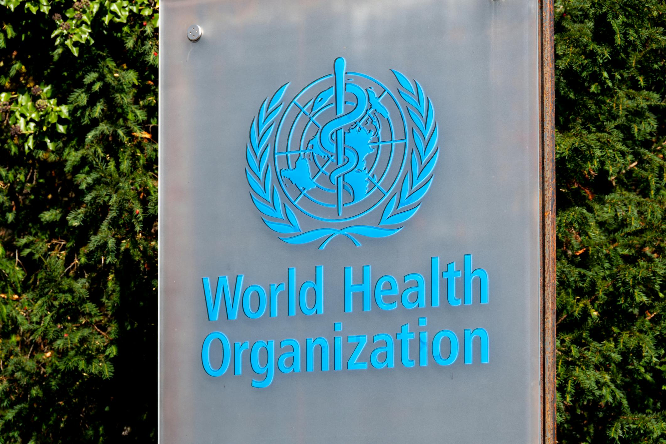 WHO Issues Warning on Health Service Disruptions as Result of ...